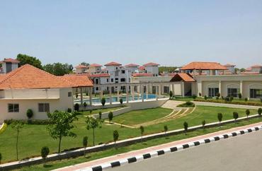 Suchirindia's Timberleaf for sale in Shamshabad, Hyderabad