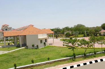 Suchirindia's Timberleaf for sale in Shamshabad, Hyderabad