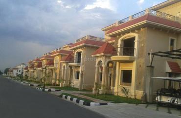 Suchirindia's Timberleaf for sale in Shamshabad, Hyderabad