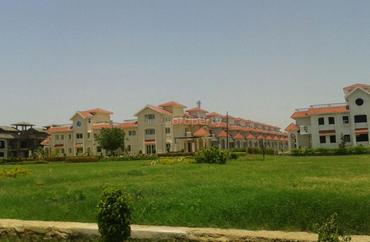 Suchirindia's Timberleaf for sale in Shamshabad, Hyderabad