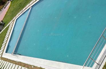 Suchirindia's Timberleaf for sale in Shamshabad, Hyderabad